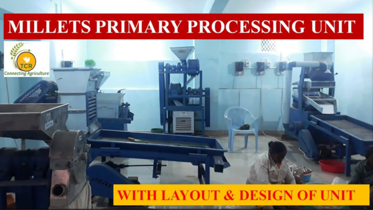 Guidance for Millets Processing Machines-Best Layout and Design – TCR ...